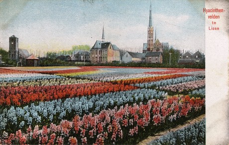 Lisse Town Netherlands Southwest Amsterdam Known Editorial Stock Photo ...