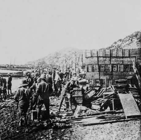 250 imágenes de Gaba - Imágenes de stock, imágenes editoriales y fotos ...