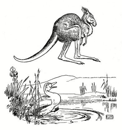 Duck Kangaroo Edward Lear Kangaroo Leaps Editorial Stock Photo - Stock ...