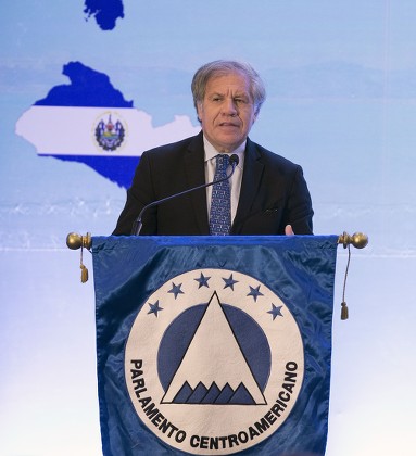 Forum 'Role and Future of the Political Parties in 2030' organized by ...