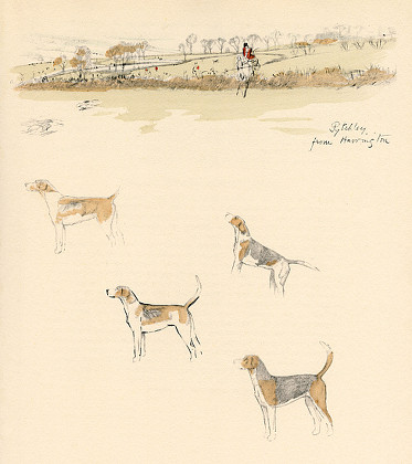 Pytchley Hunt Action Viewed Harrington Northamptonshire Editorial Stock ...