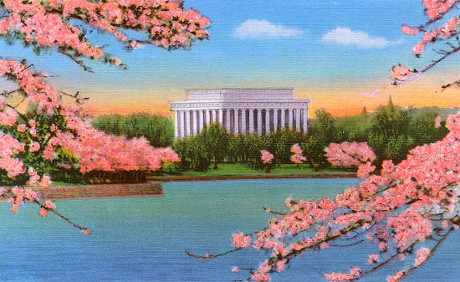 Washington Dc Usa Lincoln Memorial Cherry Editorial Stock Photo - Stock ...