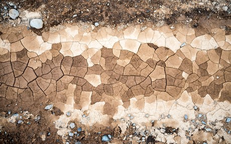 99 Drying cracks Stock Pictures, Editorial Images and Stock Photos ...