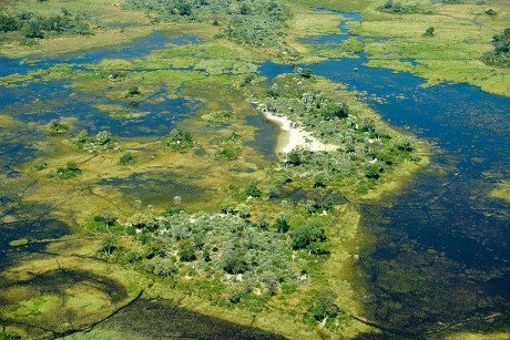 1,000 Delta wetland Stock Pictures, Editorial Images and Stock Photos ...