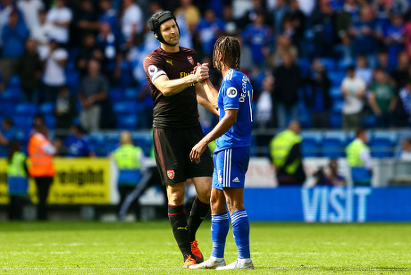 Bobby Reid Cardiff City Shakes Hands Editorial Stock Photo - Stock ...