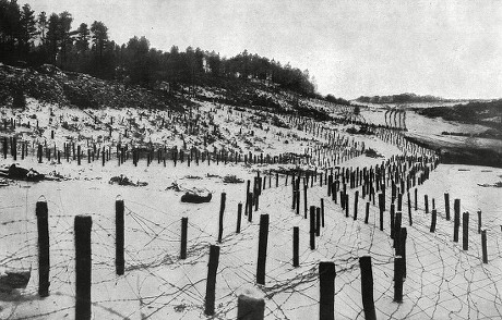 Wellkept Section Eastern Front Russia During Editorial Stock Photo ...