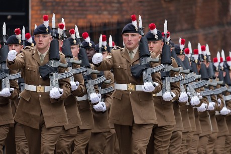 750 Royal regiment of fusiliers Stock Pictures, Editorial Images and ...