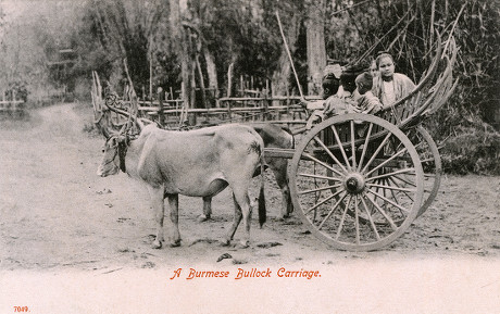 19 Bullock wheel Stock Pictures, Editorial Images and Stock Photos ...