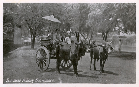 19 Bullock wheel Stock Pictures, Editorial Images and Stock Photos ...