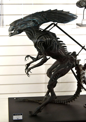 ALIEN QUEEN PUPPET AVP ALIENS VS Editorial Stock Photo - Stock Image ...