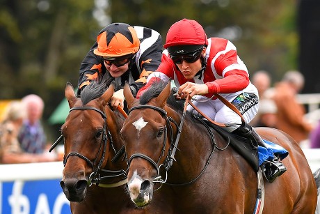 Winner Shadwell Stud Racing Excellence Apprentice Editorial Stock Photo ...