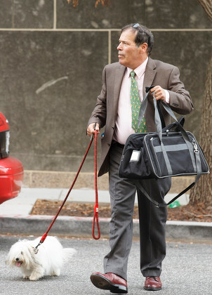 Comedian Leftwing Political Activist Randy Credico Editorial Stock ...