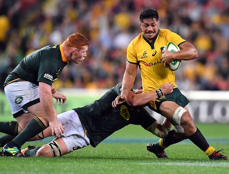 Pete Samu R Wallabies Action During Editorial Stock Photo - Stock Image ...