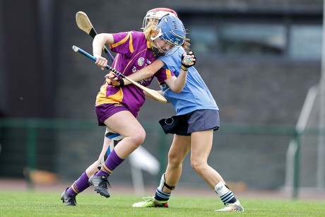 Wexford Vs Dublin Wexfords Ciara Butler Editorial Stock Photo - Stock ...