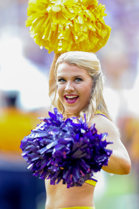 Lsu Tigers Tiger Girl Performing Fans Editorial Stock Photo - Stock ...