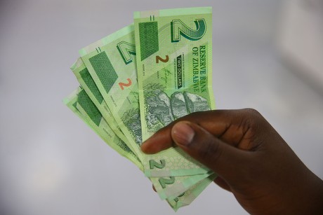 Man Holds Zimbabwe Bond Notes Harare Editorial Stock Photo - Stock ...