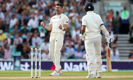 Englands James Jimmy Anderson Celebrates Wicket Editorial Stock Photo ...