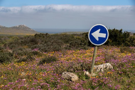 Road Sign Sticks Out Field Assorted Editorial Stock Photo - Stock Image ...