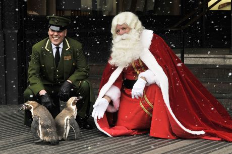 Harrods Doorman Father Christmas Penguins Percy Editorial Stock Photo ...