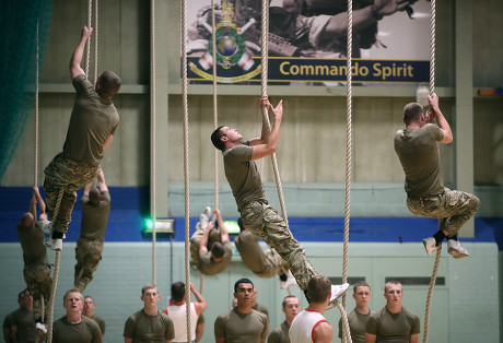 Marine Commandos Climb Ropes Prince Harry Editorial Stock Photo - Stock ...
