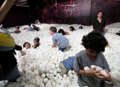 Children Adults Play Pool Toy Marshmallows Editorial Stock Photo ...