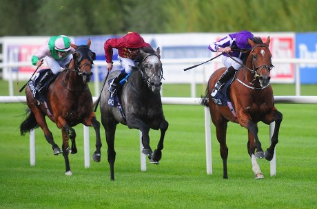 Leopardstown Roaring Lion Oisin Murphy Left Editorial Stock Photo ...