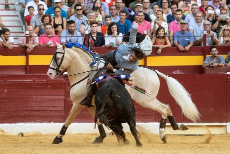 Mounted Bullfighter Diego Ventura Action Bull Editorial Stock Photo ...