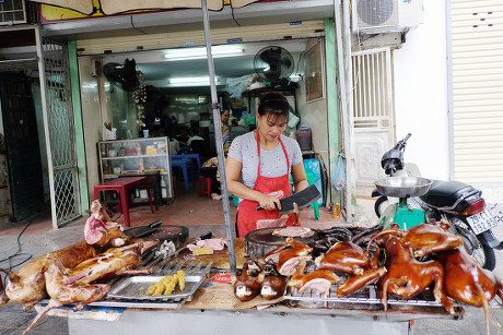 Woman Sells Dog Meat Market Stall Editorial Stock Photo - Stock Image ...