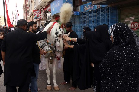 Pakistani Shiite Muslims Touch Zuljinah Horse Editorial Stock Photo ...