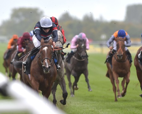 Megan Nicholls Jockey Editorial Stock Photo - Stock Image | Shutterstock