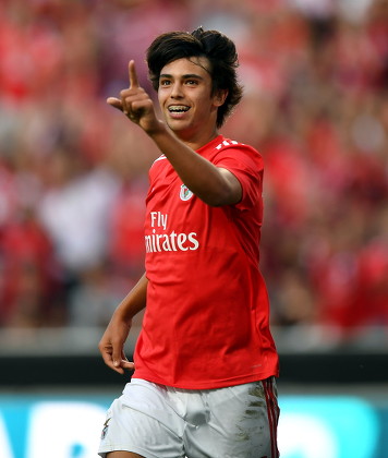Jao Felix Benfica Celebrates His Goal Editorial Stock Photo - Stock ...