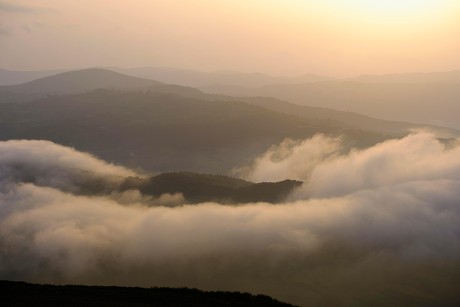 500 Fog patch Stock Pictures, Editorial Images and Stock Photos ...