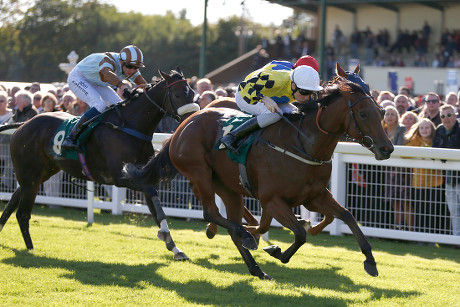 88 Declan carroll Stock Pictures, Editorial Images and Stock Photos ...