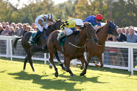 88 Declan carroll Stock Pictures, Editorial Images and Stock Photos ...
