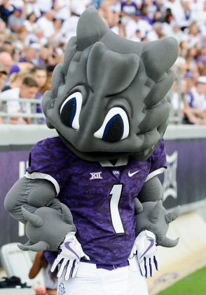 Tcu Horned Frogs Mascot During 1st Editorial Stock Photo - Stock Image ...
