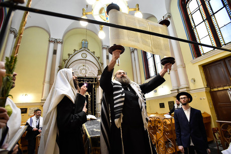 Hasidic Jewish Man Prays Torah Scroll Editorial Stock Photo - Stock ...