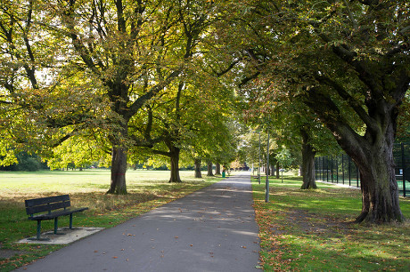 Chestnut Avenue Path Through Tooting Bec Editorial Stock Photo - Stock ...