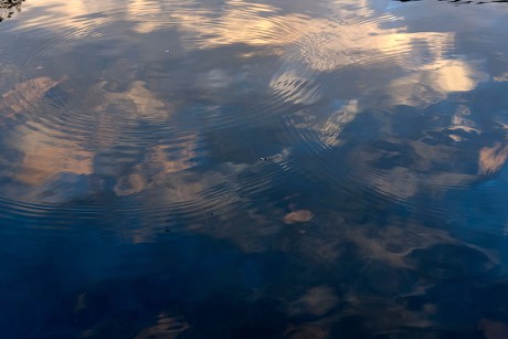 4 Eflection Stock Pictures, Editorial Images and Stock Photos ...