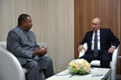 Russian President Vladimir Putin 2l Opec Editorial Stock Photo - Stock ...
