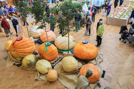 RHS Autumn show, London, UK - 03 Oct 2018 Stock Pictures, Editorial ...