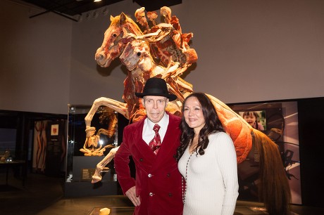 50 Exhibit display death dead body bodies plastination preserved ...
