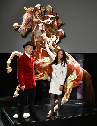 50 Exhibit display death dead body bodies plastination preserved ...