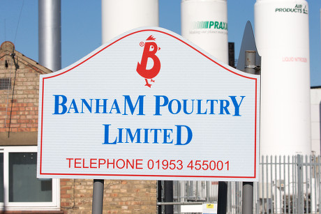 Banham Poultry Editorial Stock Photo - Stock Image | Shutterstock