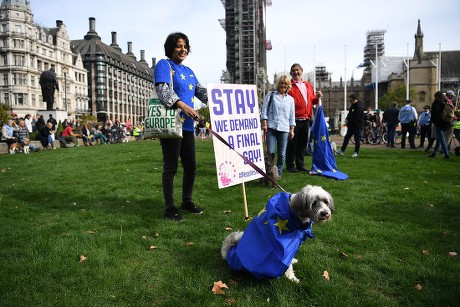 Participant Poses Her Dog Antibrexit Dog Editorial Stock Photo - Stock ...