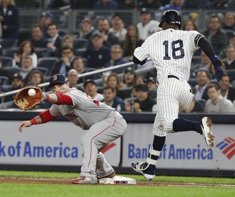 Boston Red Sox First Baseman Steve Editorial Stock Photo - Stock Image ...