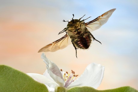 500 Gleams Stock Pictures, Editorial Images and Stock Photos | Shutterstock