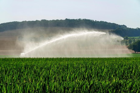 500 Irrigating Stock Pictures, Editorial Images and Stock Photos ...
