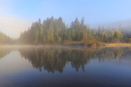500 Fog patch Stock Pictures, Editorial Images and Stock Photos ...