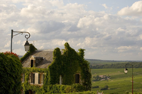 Sancerre Wine Region Loire Valley France Editorial Stock Photo - Stock ...