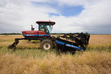 55 Swathing Stock Pictures, Editorial Images and Stock Photos ...